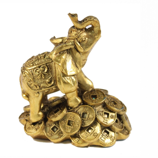 Progressive Member Profile | cTrader Community